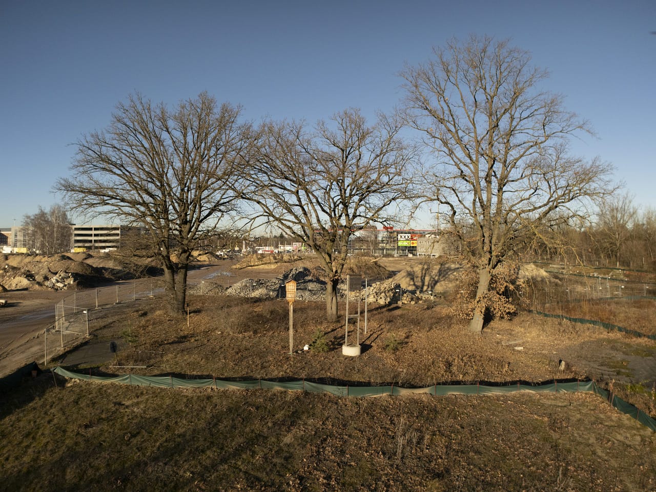 Zwischen Natur und Beton: urbane Brachflächen